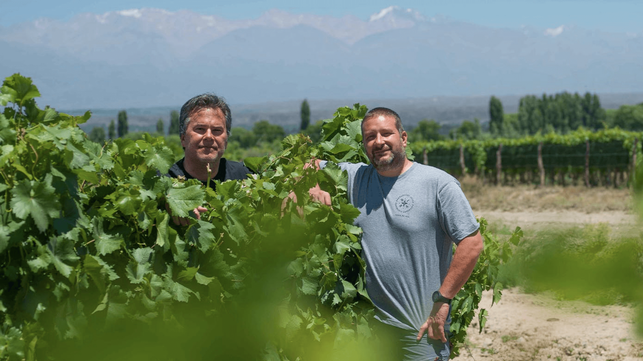 GastroRosé | BIRA Wines